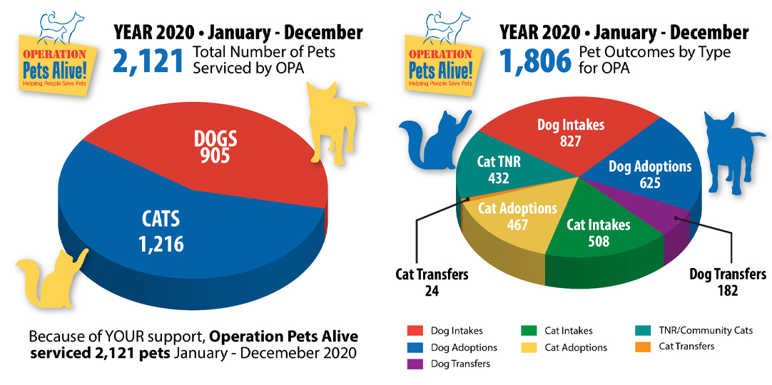 2020 Numbers & 2021 TNR Update - Operation Pets Alive