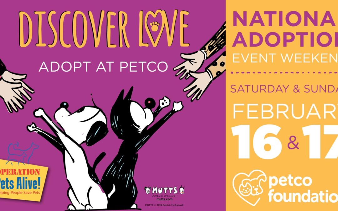 National Adoption Weekend With Petco Operation Pets Alive National Adoption Weekend With Petco Operation Pets Alive